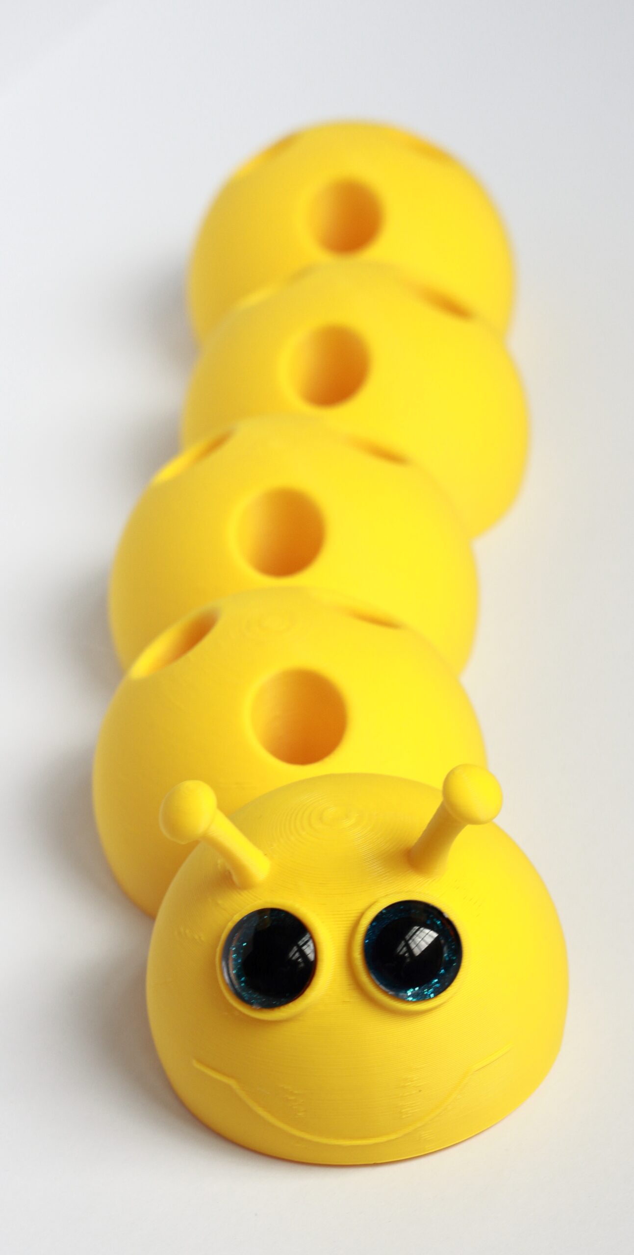 Caterpillar Blood Tube Rack | Schaller Industries