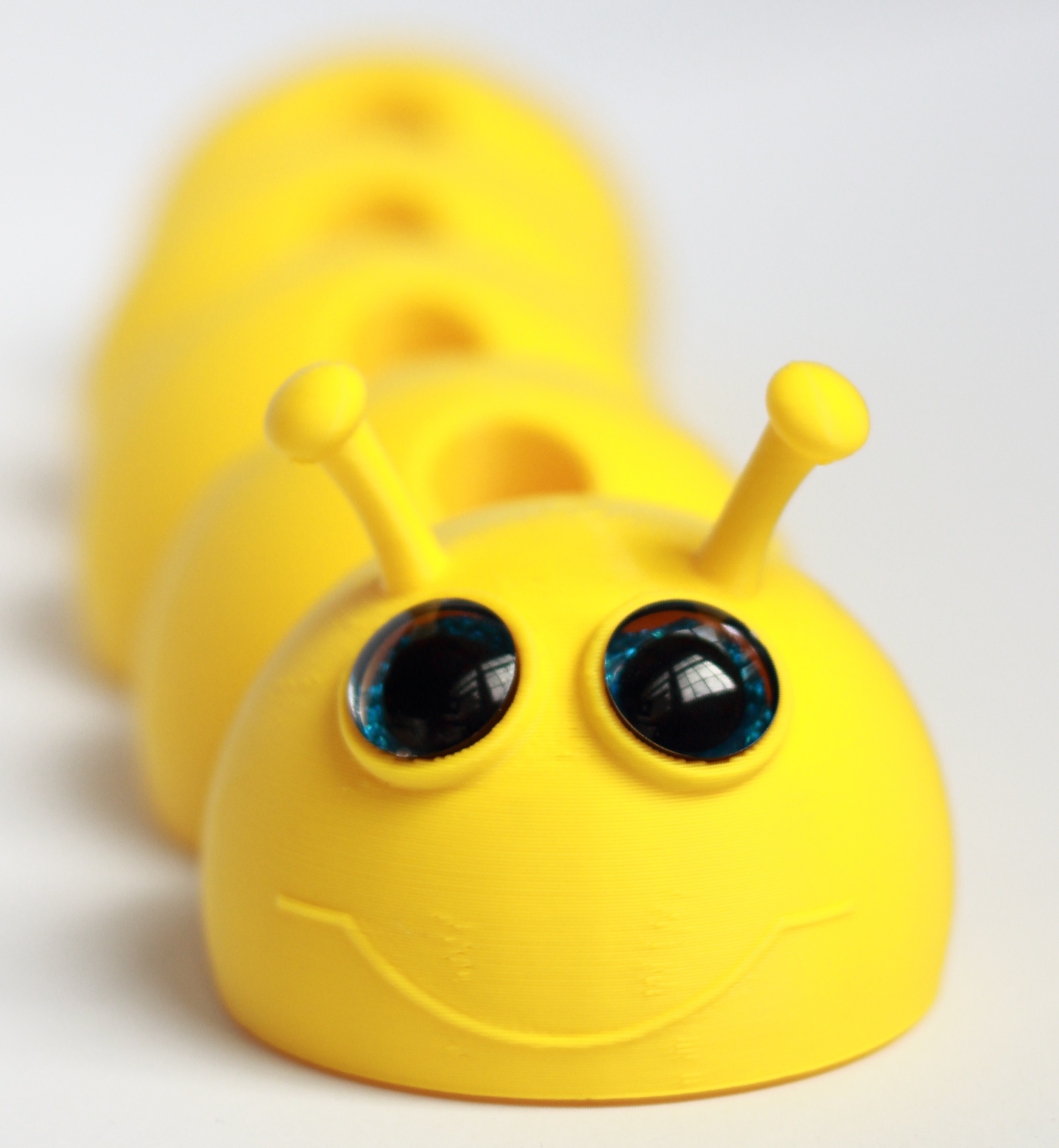 Caterpillar Blood Tube Rack | Schaller Industries