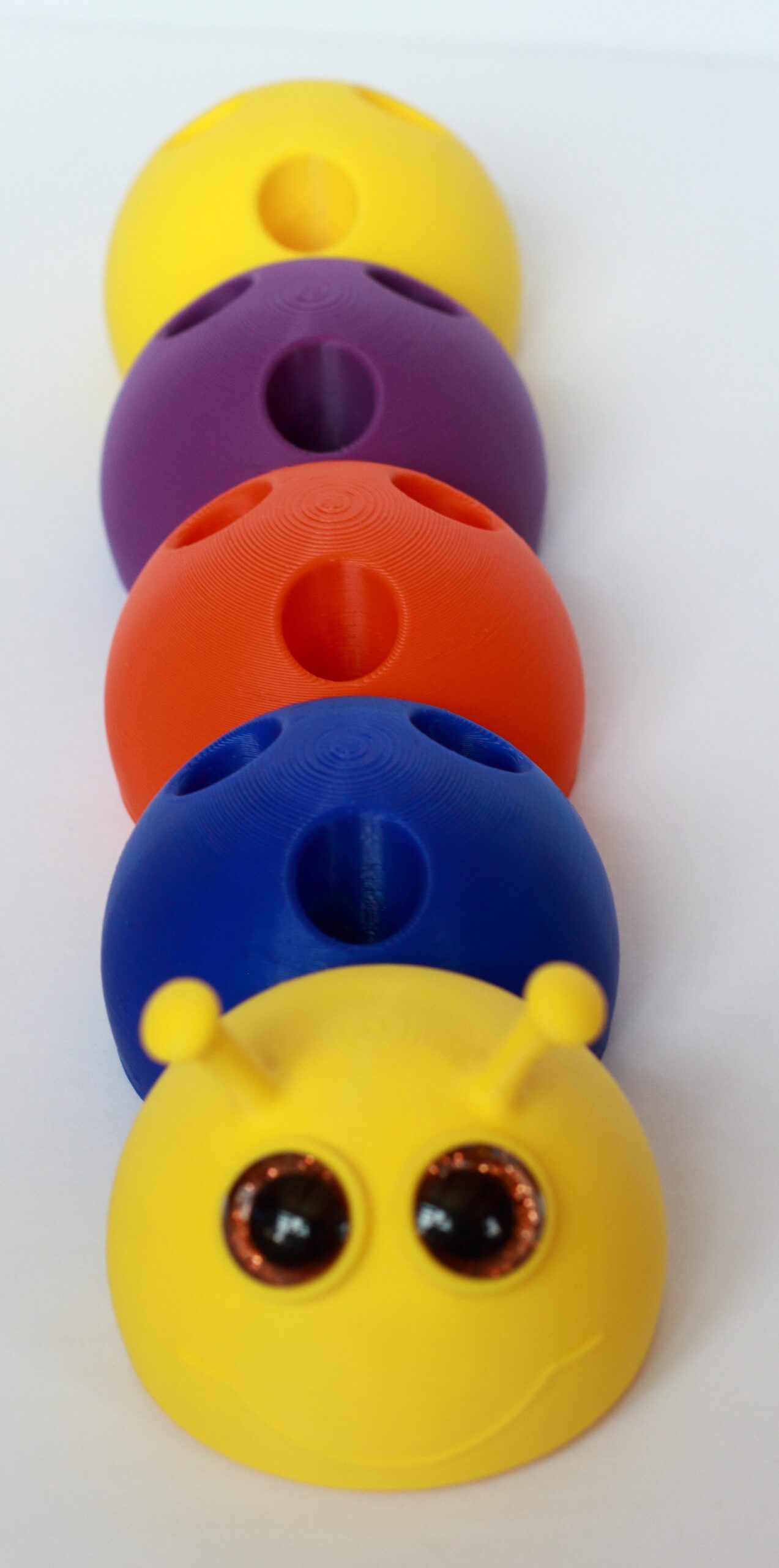 Caterpillar Blood Tube Rack | Schaller Industries